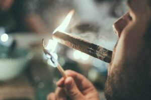 7 choses que j’aurais aimé connaître sur les cigares à mes débuts – Le ...